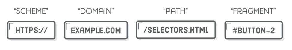 The Beginner's Guide to CSS Classes & .class Selectors