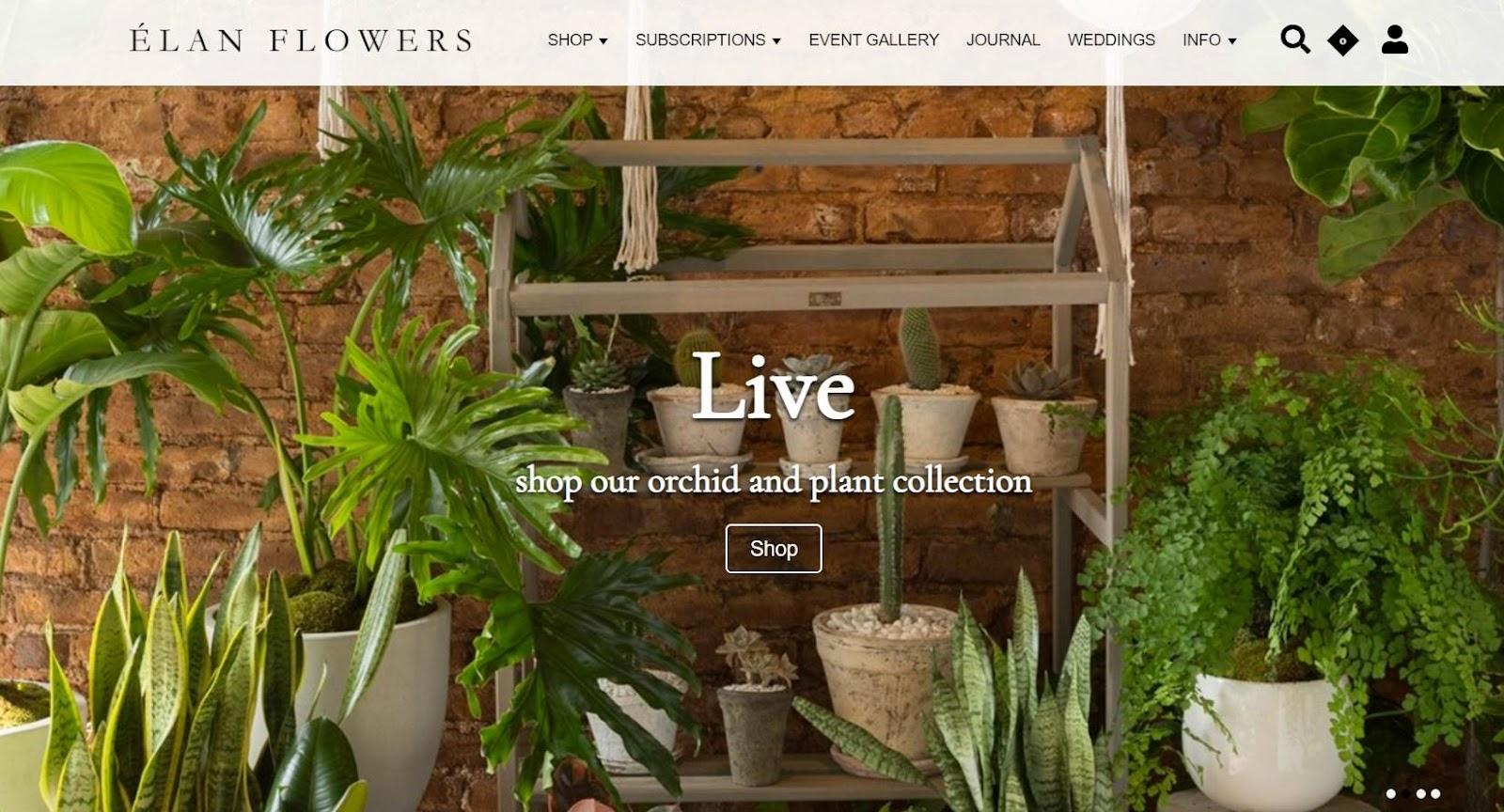 25 Florist Website Design Examples We Love [+ How To Make Your Own]