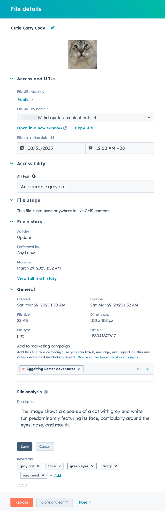 Manage individual file details