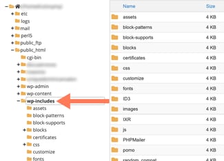 How to Check Your WordPress Version