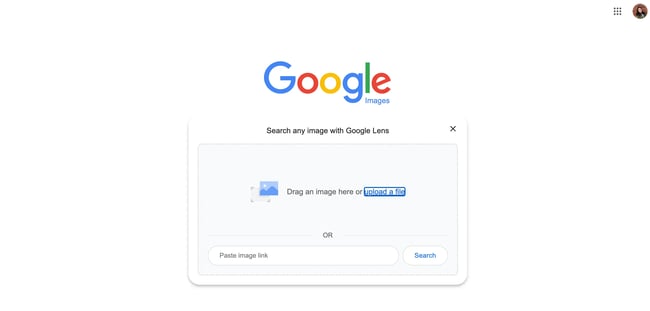 The Complete Guide to Reverse Image Search
