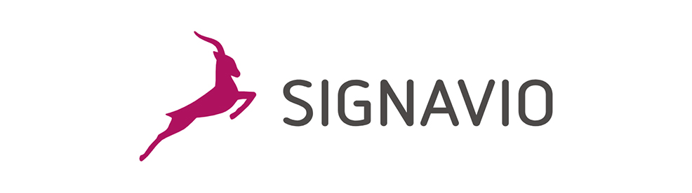 Signavio Generates 188% More Leads in a Year while using HubSpot