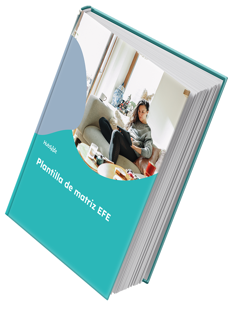 Plantilla para desarrollar una matriz EFE